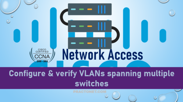 Configure and verify VLANs spanning multiple switches – Cyber Security, Networking, Technology ...